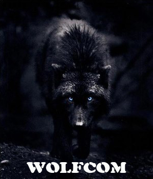 Police Body Cameras & Evidence Management Software by WOLFCOM®